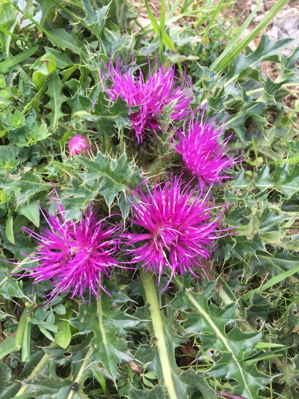 Hiking on the Border of Two Cantons | MCU on Eclipse