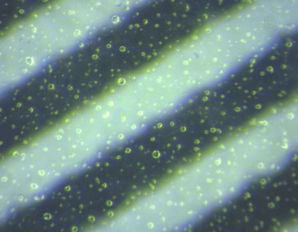 Fascinating Details of Waveshare E-Paper Displays | MCU on Eclipse