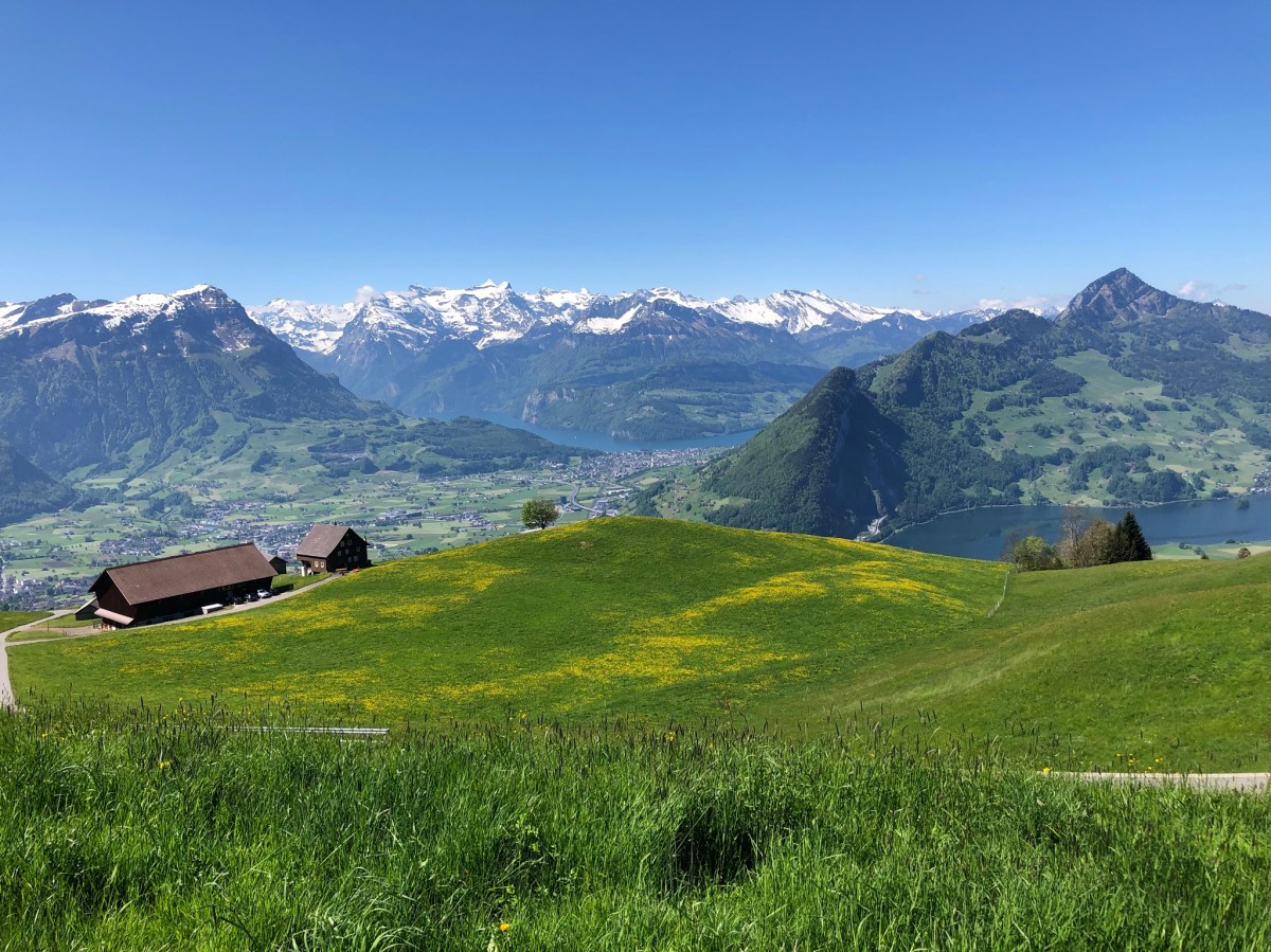 View to the South | MCU on Eclipse